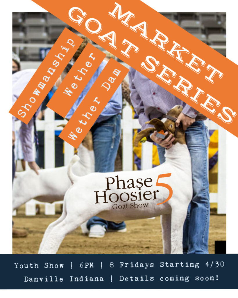 Market Goat Series – Phase 5 Promotion's Goat Shows